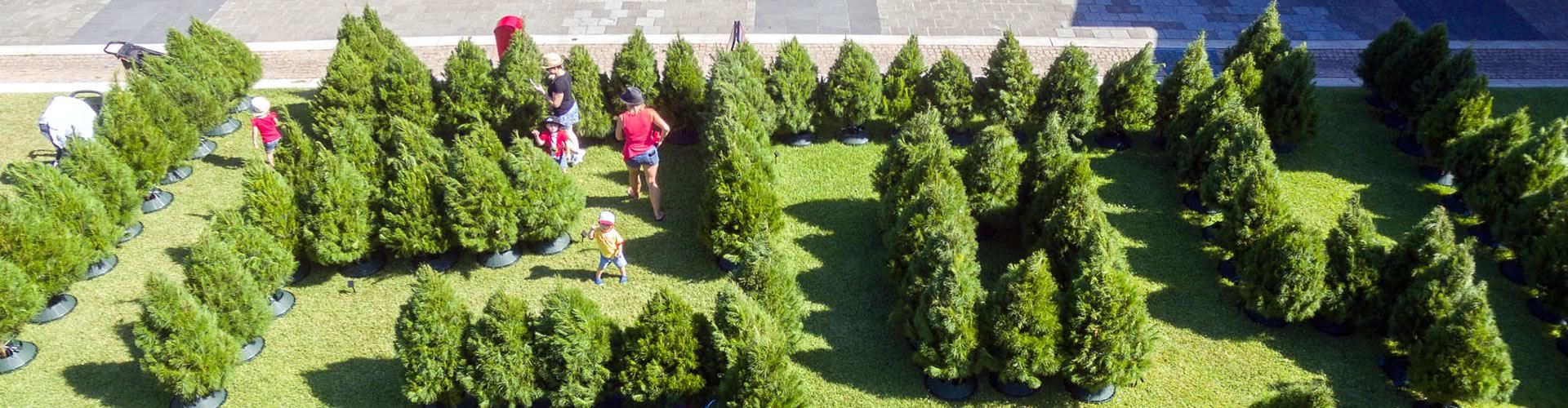 Home - Newcastle Museum