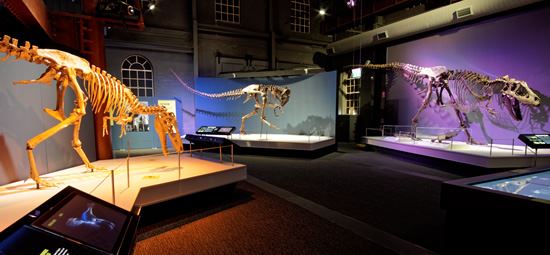 Newcastle Museum Past Exhibitions - Newcastle Museum